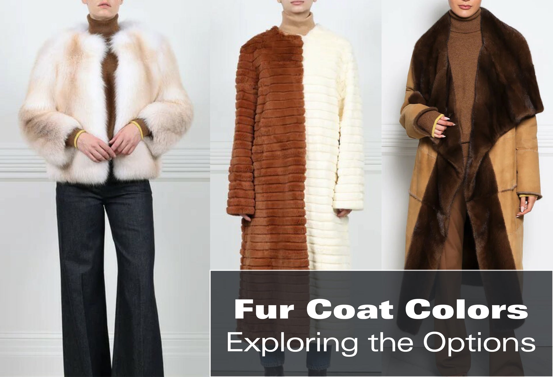 Fur Coat Colors: Exploring the Options – POLOGEORGIS