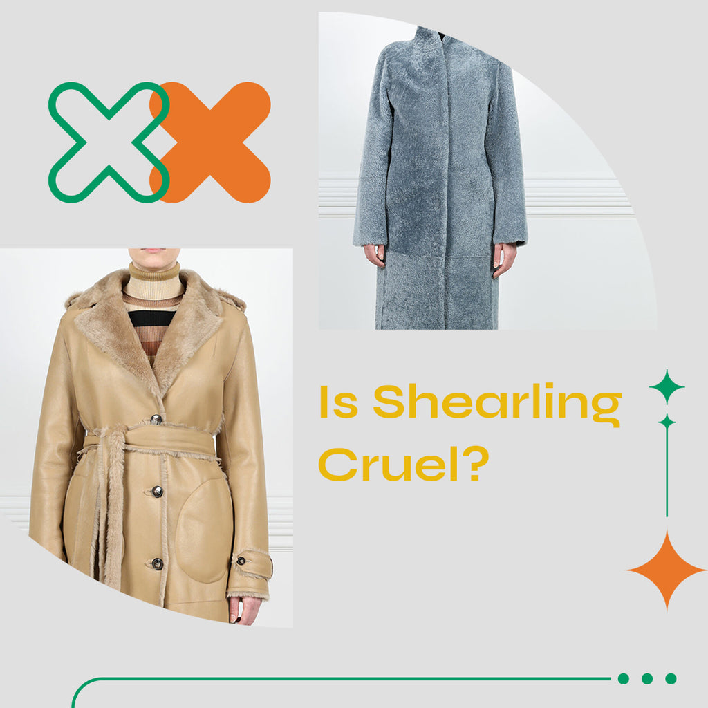 The Ethical Debate Around Shearling: Is it Cruel? – POLOGEORGIS