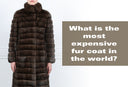 What is the Most Expensive Fur Coat in the World? – POLOGEORGIS