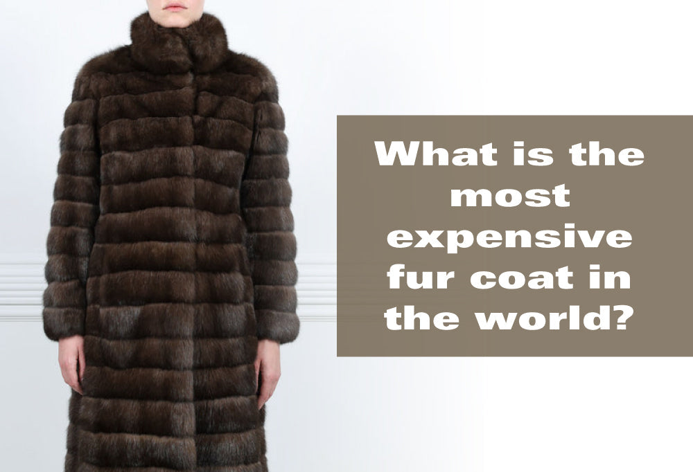 What is the Most Expensive Fur Coat in the World? – POLOGEORGIS