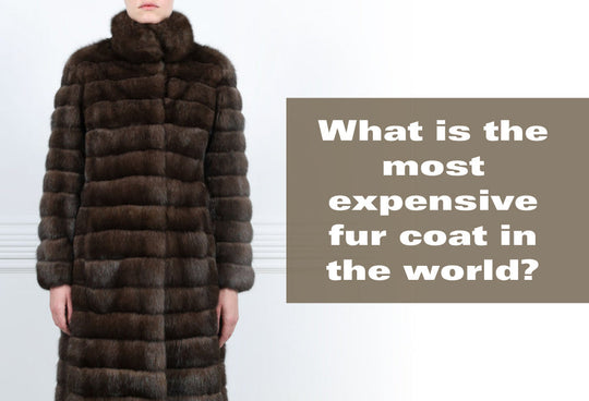 What is the Most Expensive Fur Coat in the World? – POLOGEORGIS
