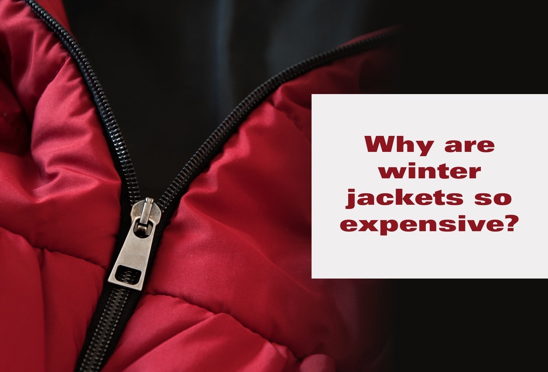 Why Are Winter Jackets So Expensive? The Real Cost Breakdown – POLOGEORGIS